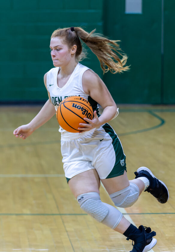 Lady Wildcats End Season with Sectional Loss | News, Sports, Jobs ...